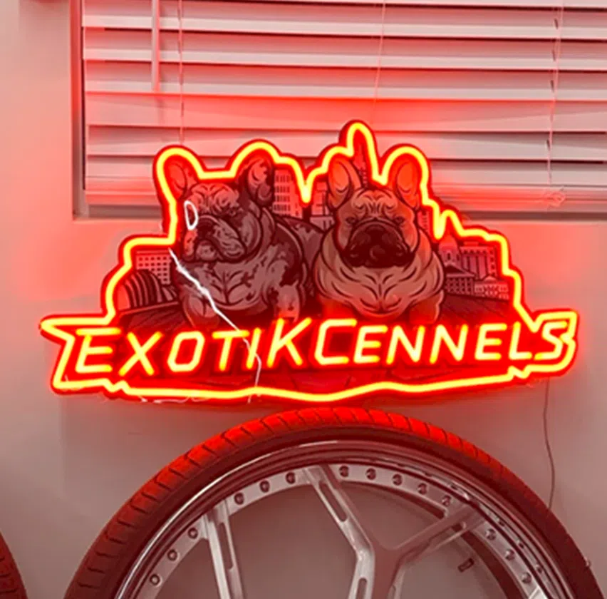 Led Neon Vs Glass Neon Sign- Find Out The Winner |createneon